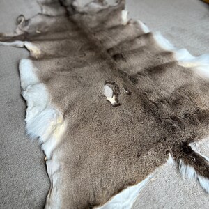 Tanned Whitetail Deer Hide, Native and Wild - Etsy