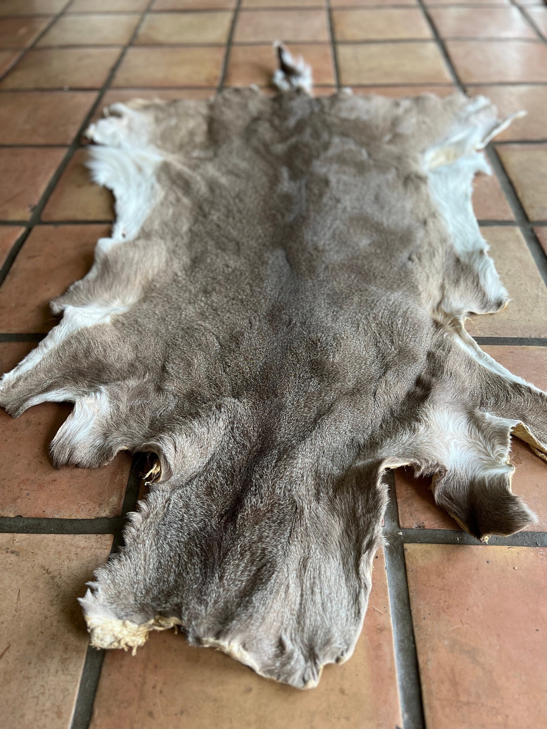 Tanned Whitetail Deer Hide, Native and Wild - Etsy