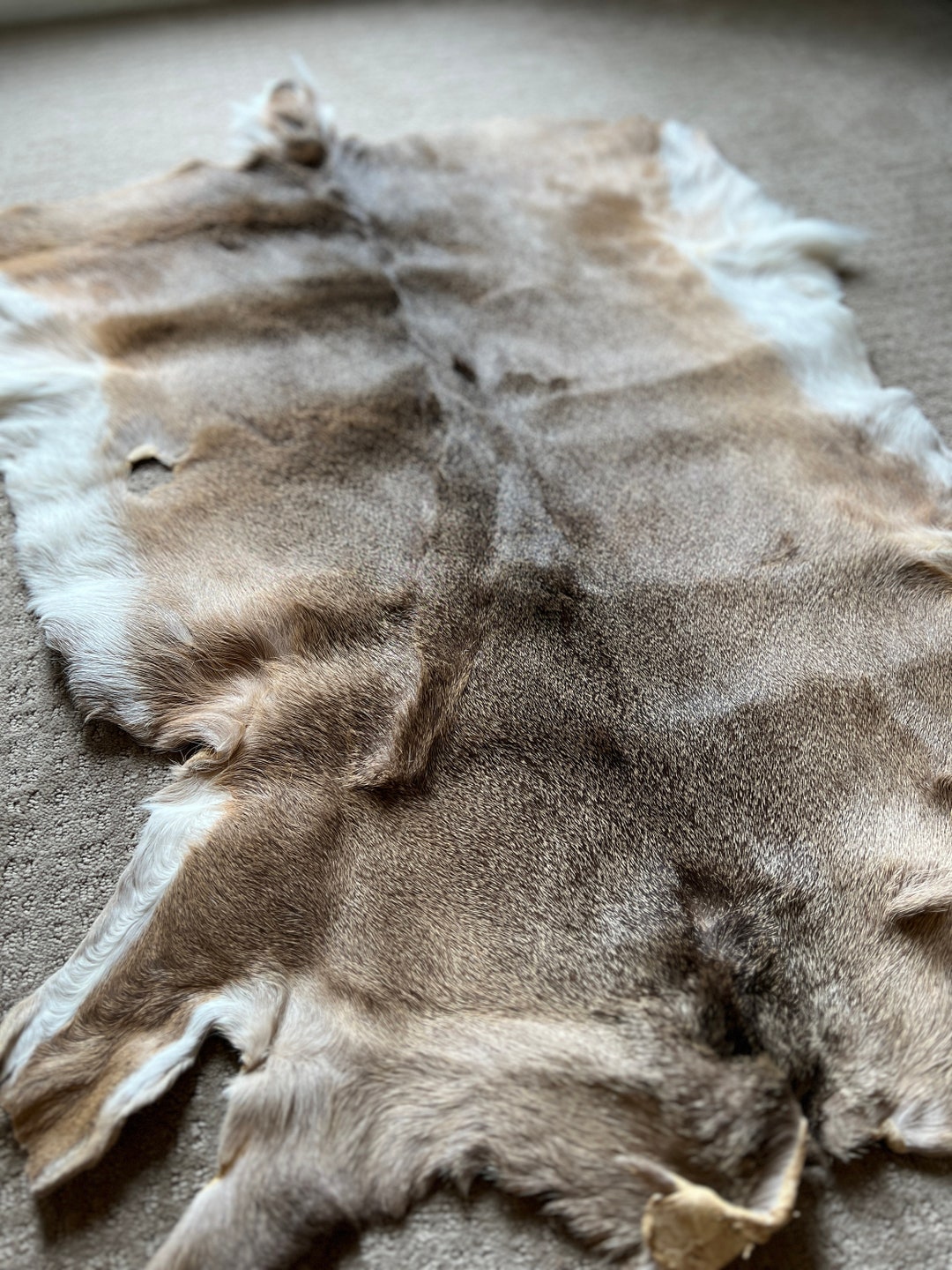 Tanned Whitetail Deer Hide, Native and Wild - Etsy