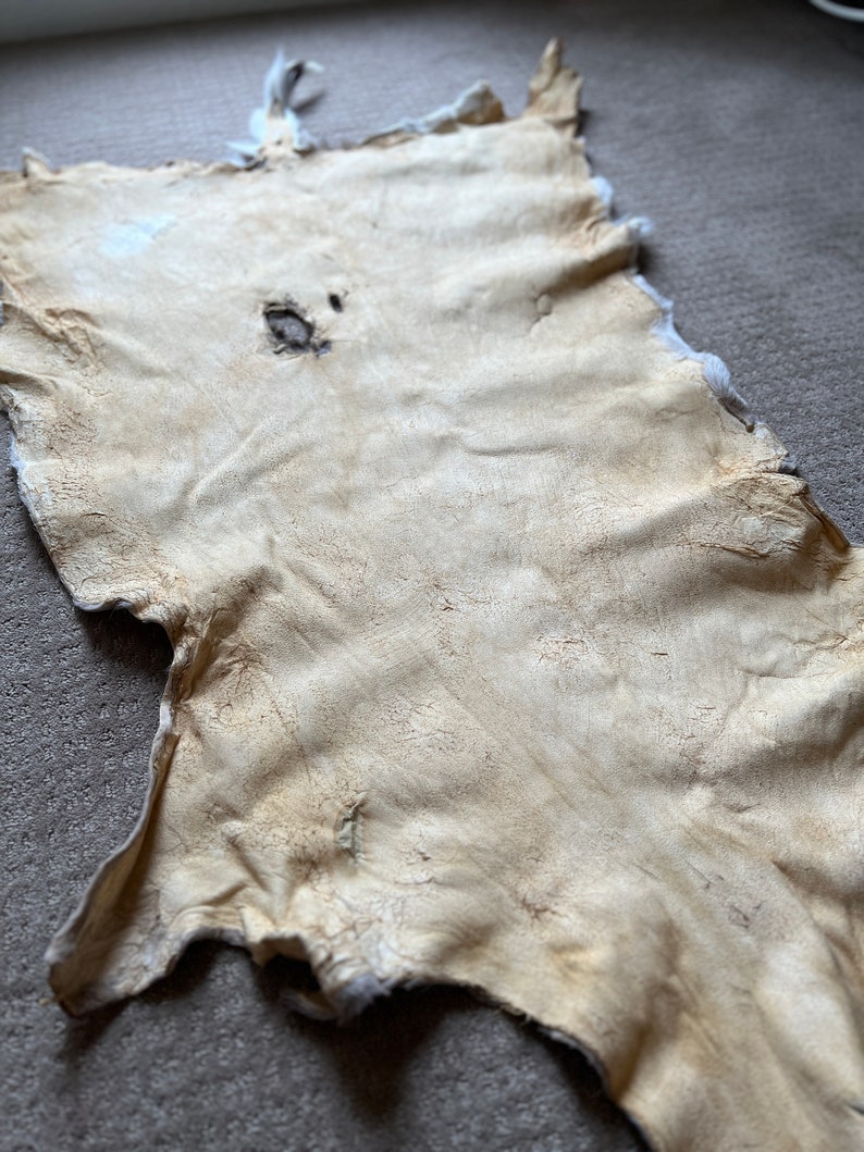 Tanned Whitetail Deer Hide, Native and Wild - Etsy