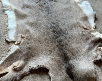 Tanned Whitetail Deer Hide, Native and Wild - Etsy