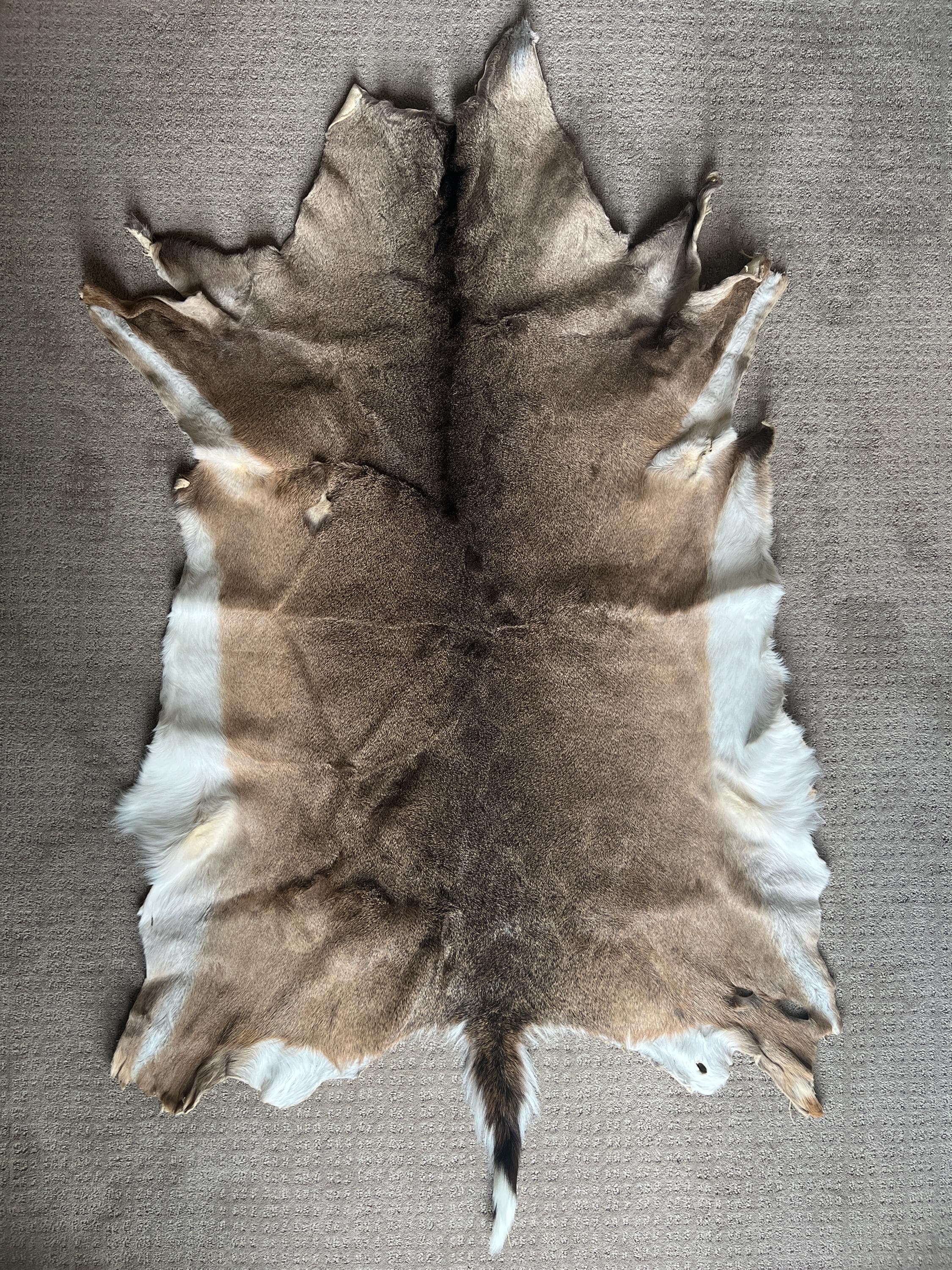 Tanned Whitetail Deer Hide, Native and Wild - Etsy