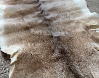Tanned Whitetail Deer Hide, Native and Wild - Etsy