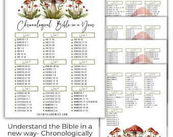 Bible Study Guide Chronological Read in A Year Reading Plan Bible Study ...