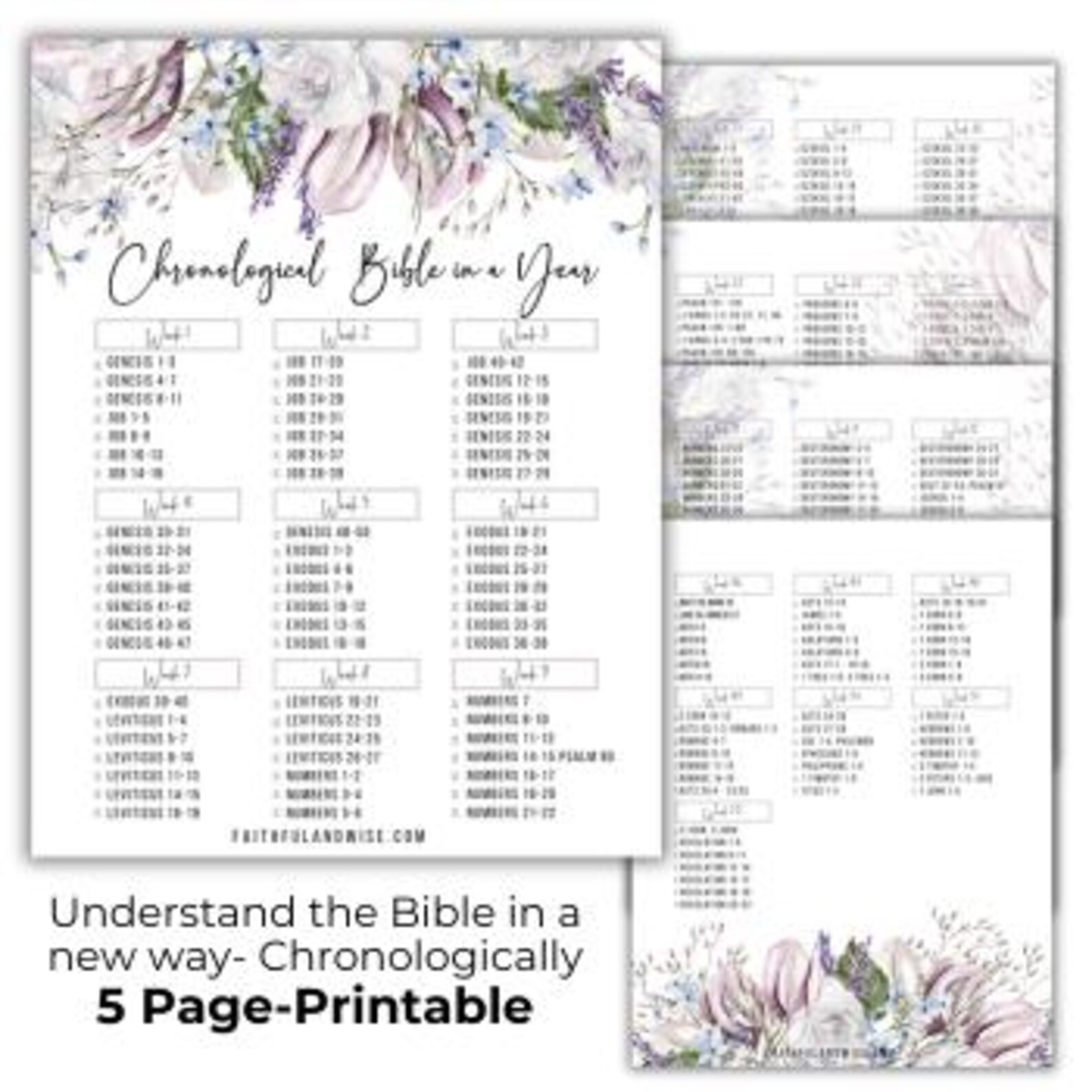 Bible Study Guide | Chronological Read in A Year Reading Plan | Bible ...