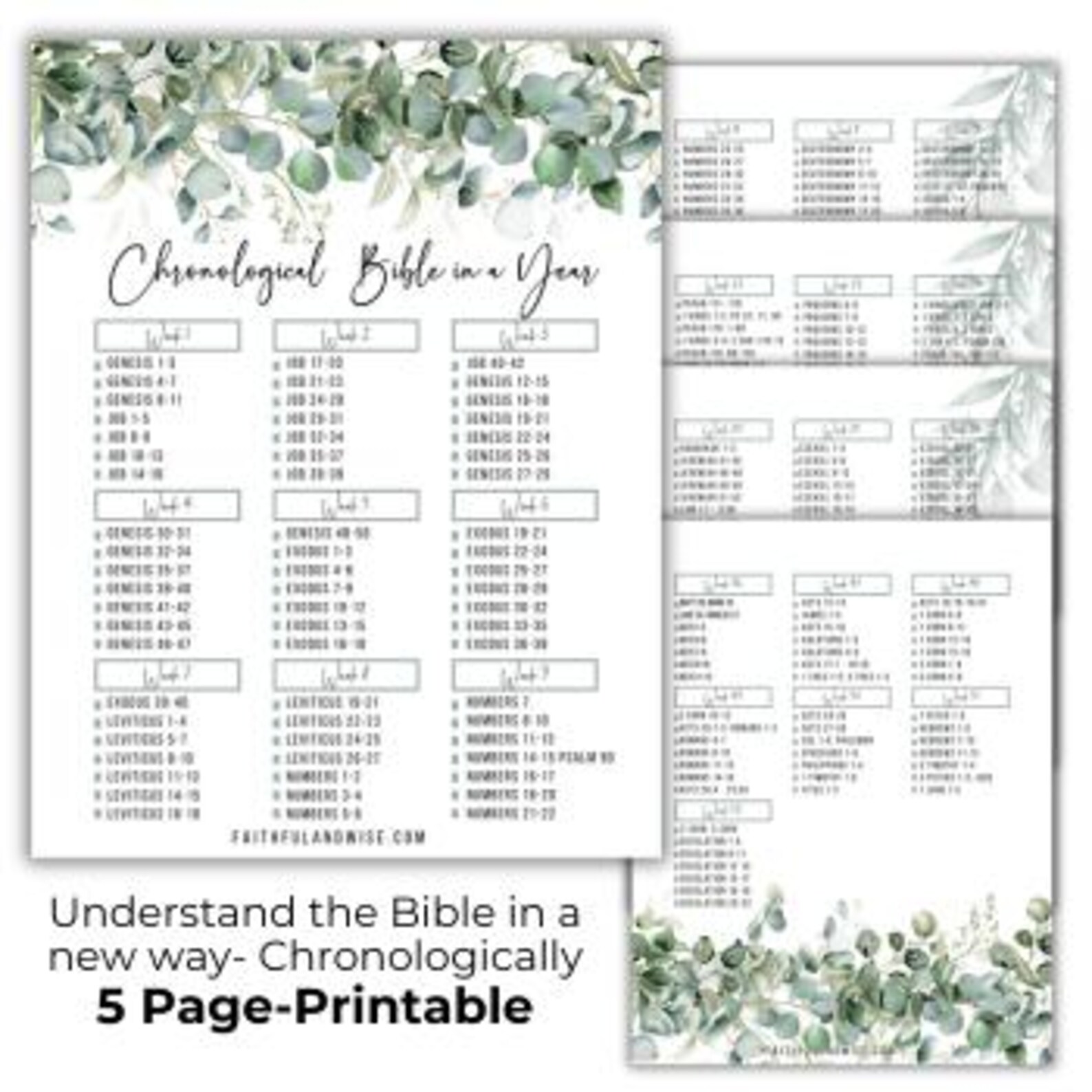 Bible Study Guide | Chronological Read in A Year Reading Plan | Bible ...