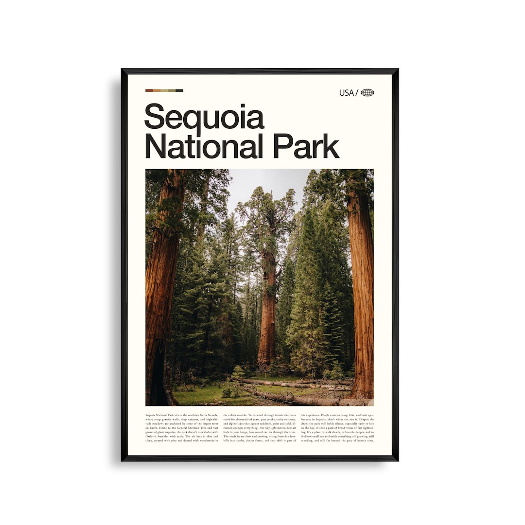 Sequoia National Park Print California, Giant Sequoia Wall Art, Sequoia ...