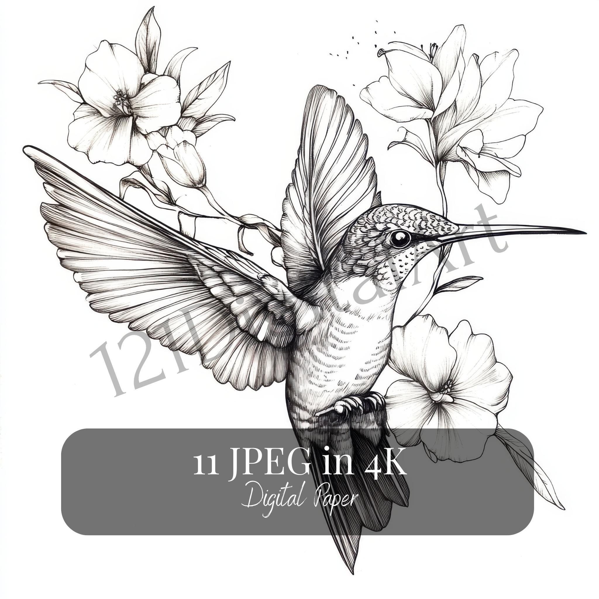 Hummingbirds Coloring Page, Ready to Print, High Resolution Images ...