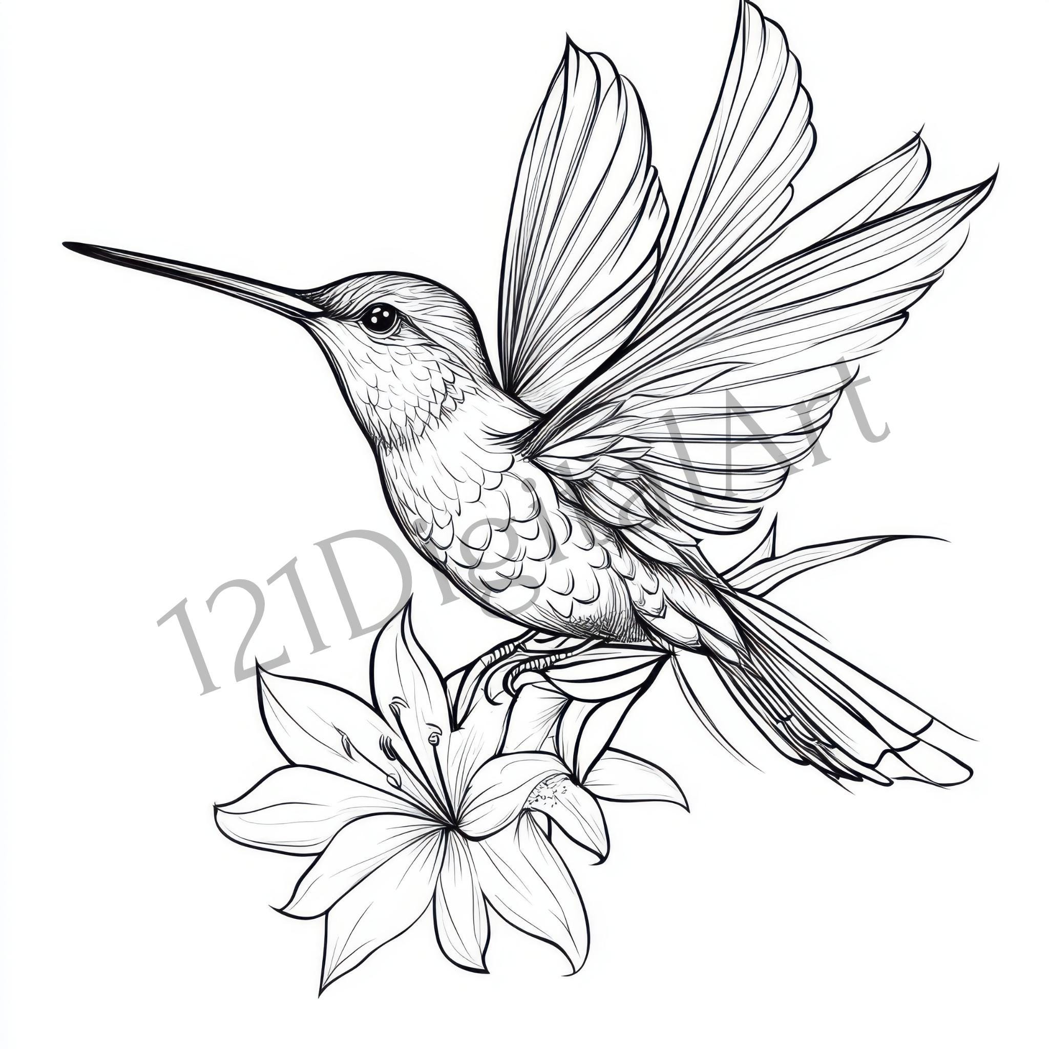 Hummingbirds Coloring Page, Ready to Print, High Resolution Images ...