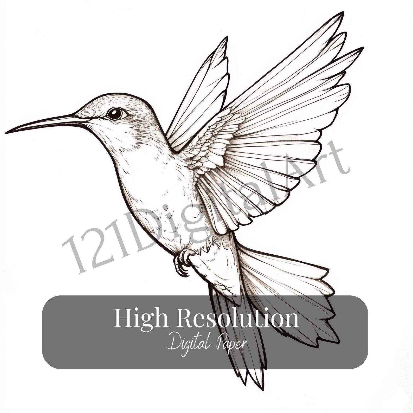 Hummingbirds Coloring Page, Ready to Print, High Resolution Images ...