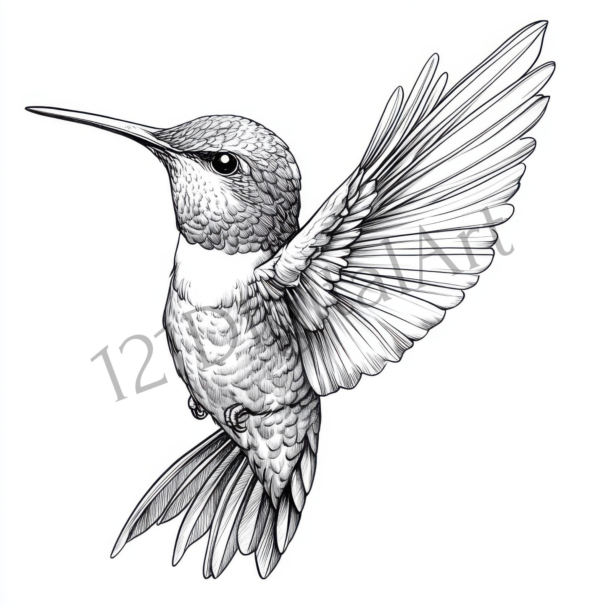 Hummingbirds Coloring Page, Ready to Print, High Resolution Images ...