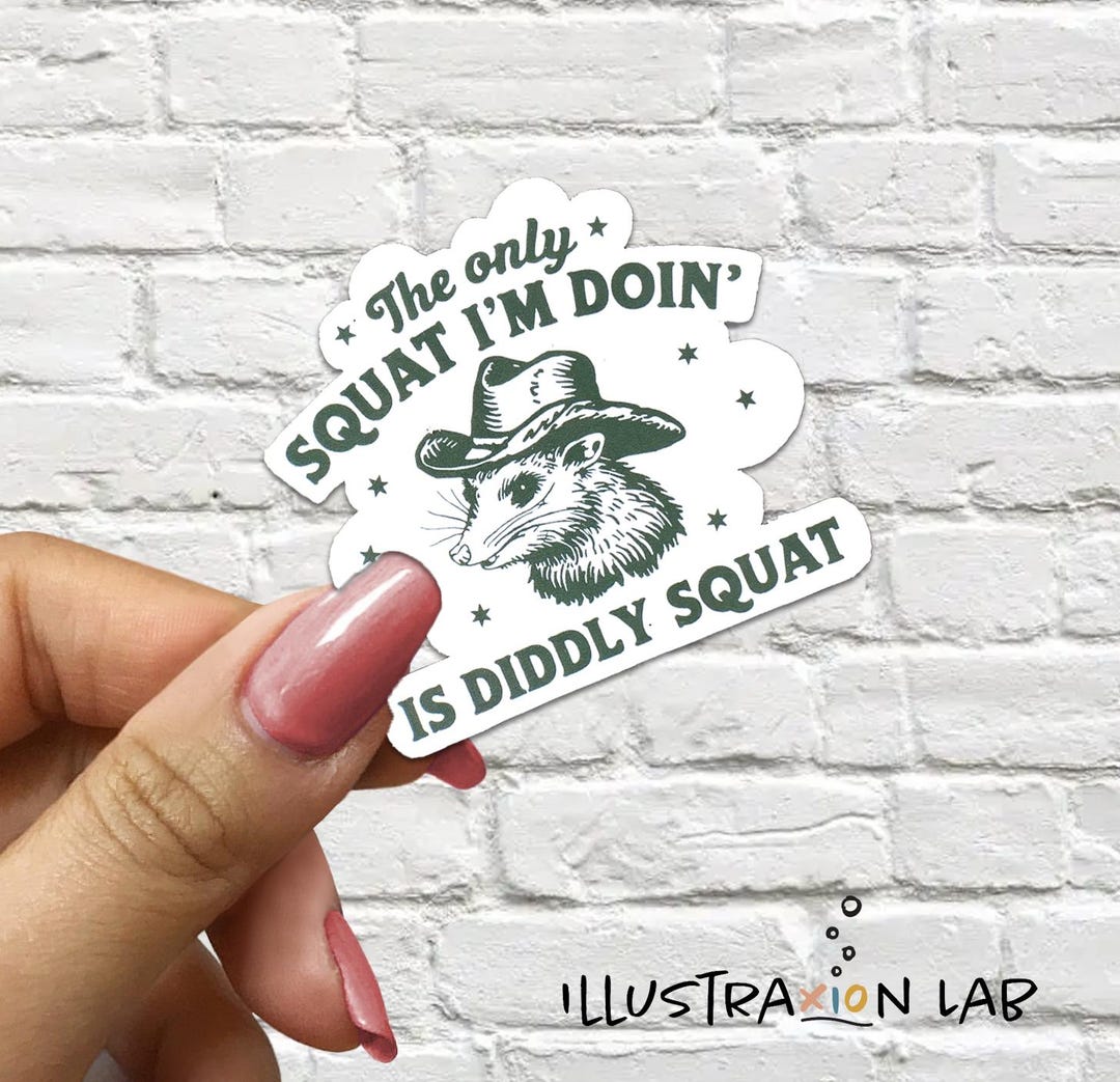 The Only Squat I'm Doing is Diddly Squat Sticker | Funny Sticker | Cute ...