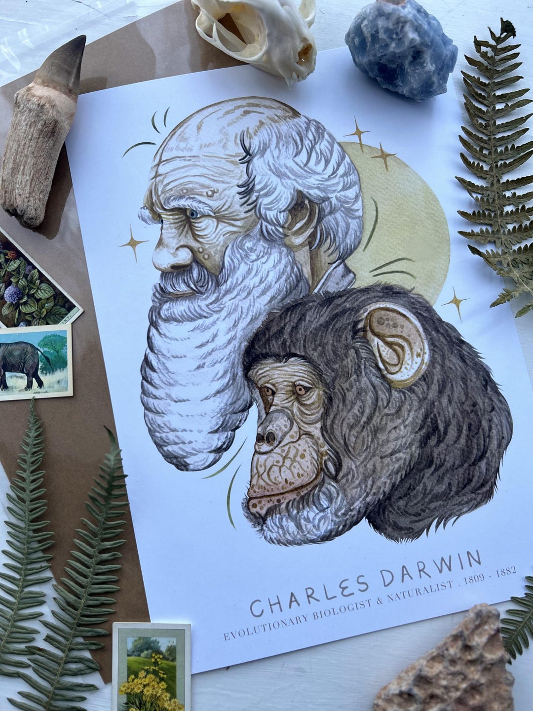 A4 Vintage Illustrated Portrait charles Darwin Botanical Cottagecore ...