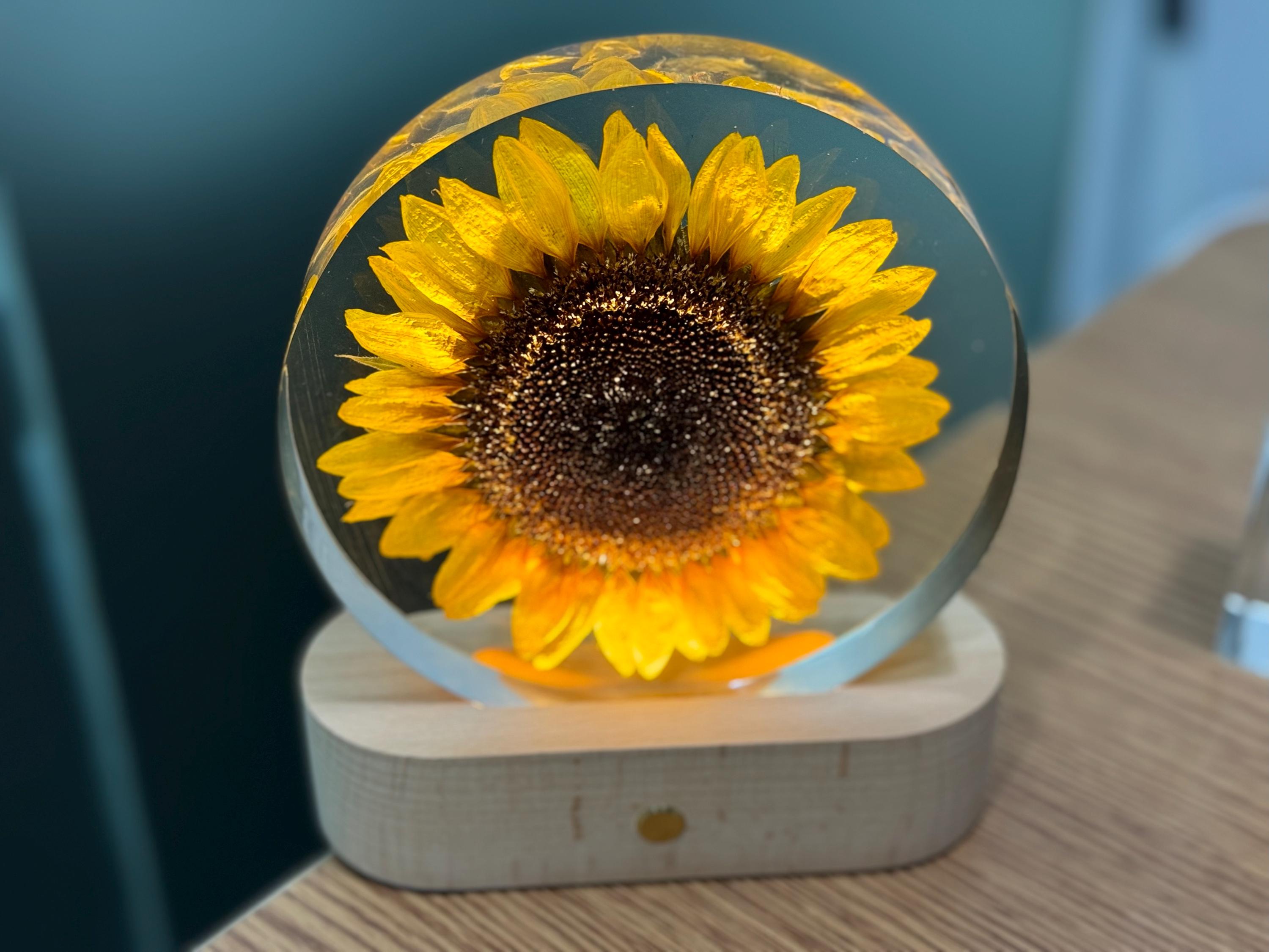 Real Sunflower Block, Resin Paperweight, Sunflower Night Light ...