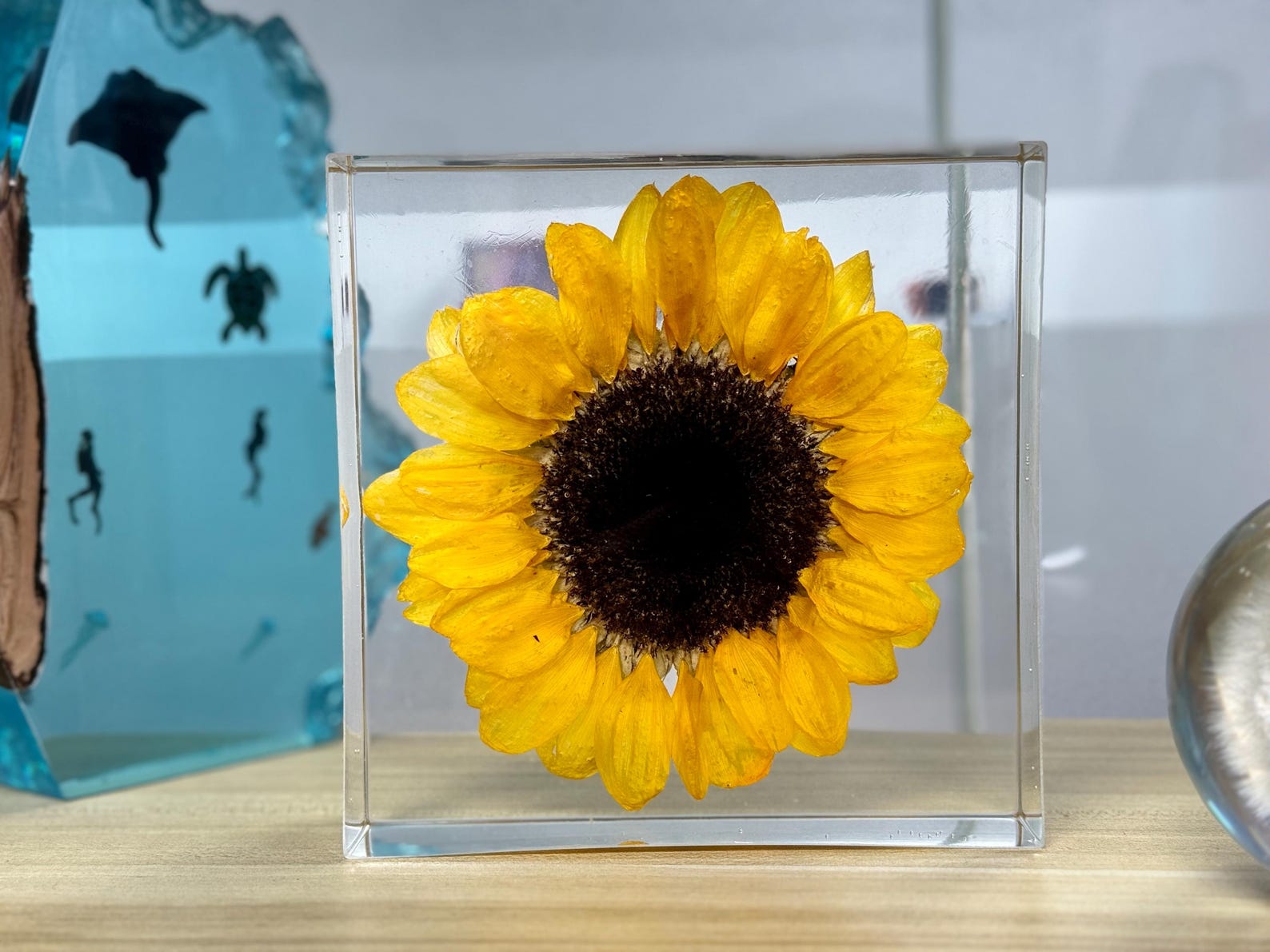 Real Sunflower Block, Resin Paperweight, Sunflower Night Light ...