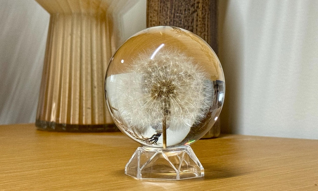 Dandelion Resin Paperweight, Dandelion Sphere, Dandelion Desk Home ...