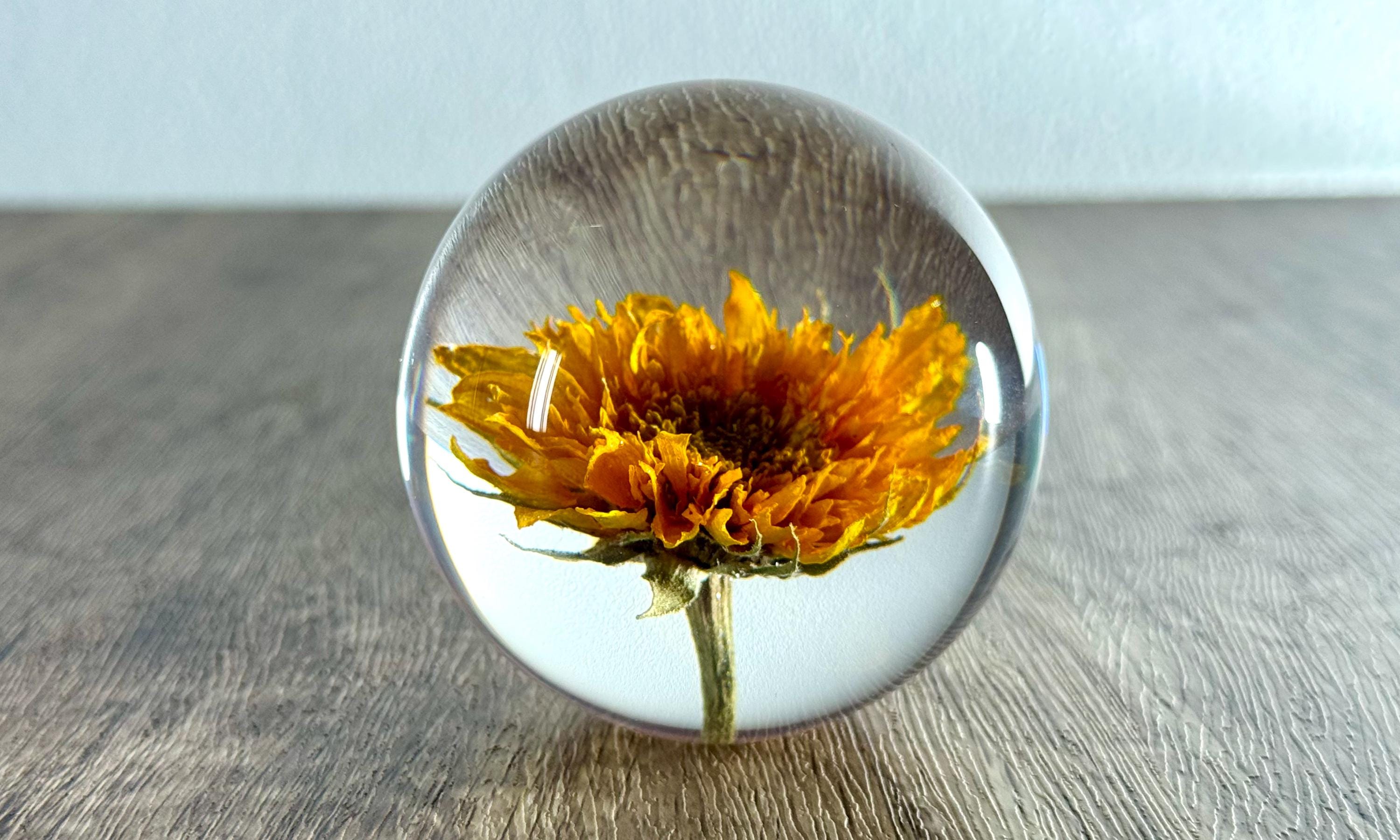 Dandelion Resin Paperweight, Dandelion Sphere, Dandelion Desk Home ...