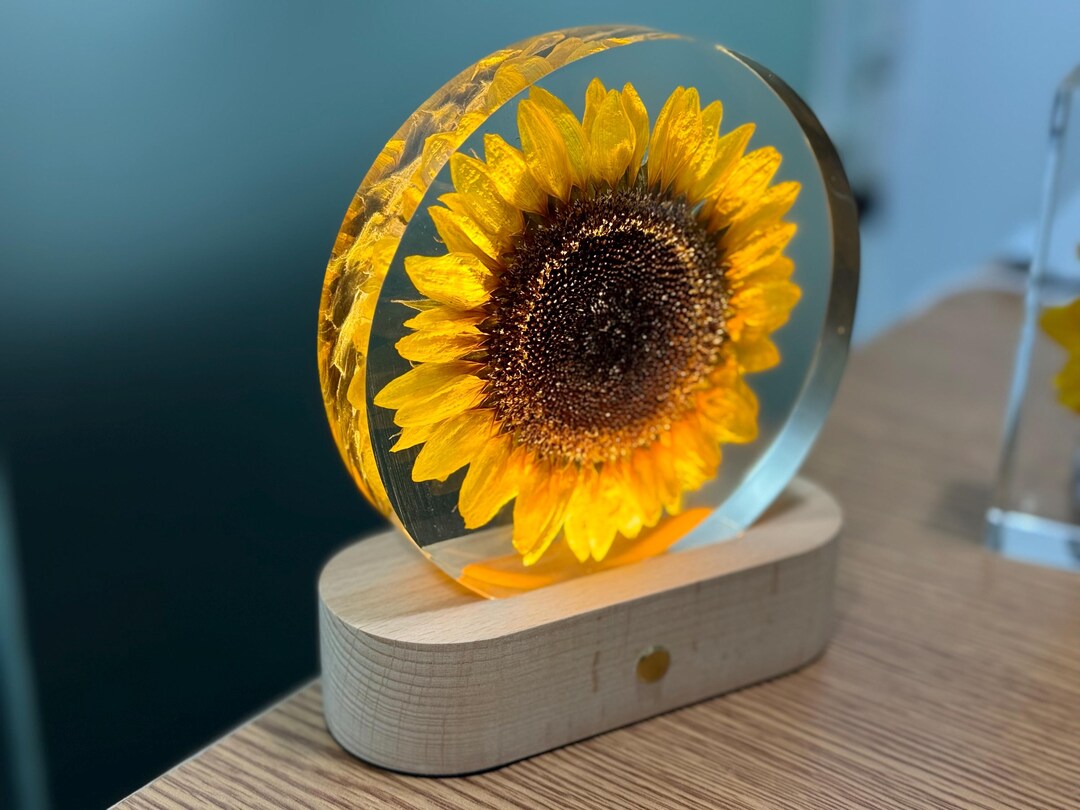 Real Sunflower Block, Resin Paperweight, Sunflower Night Light ...