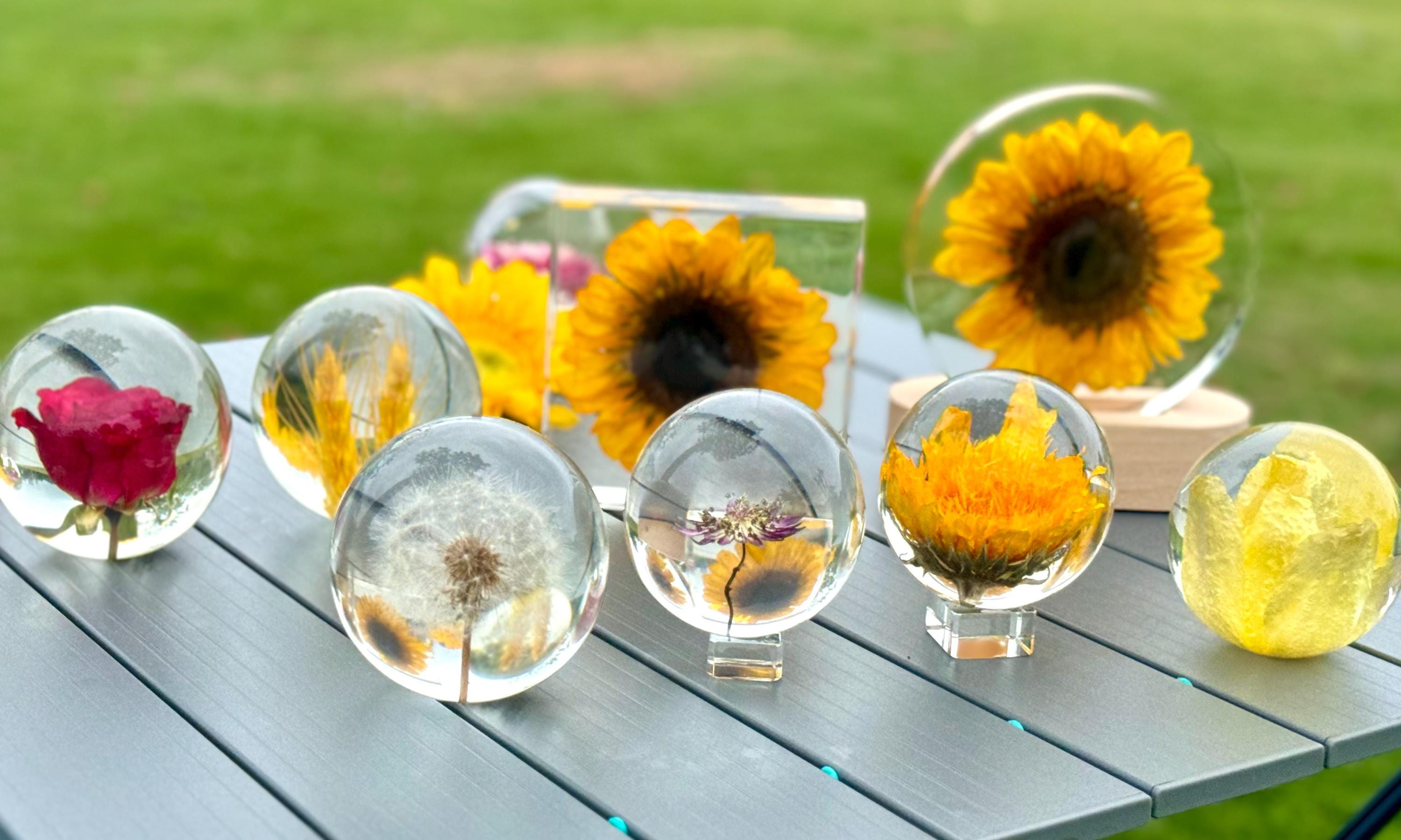 K9 Crystal Dandelion Paperweight, Dandelion Sphere, Dandelion Desk Home ...