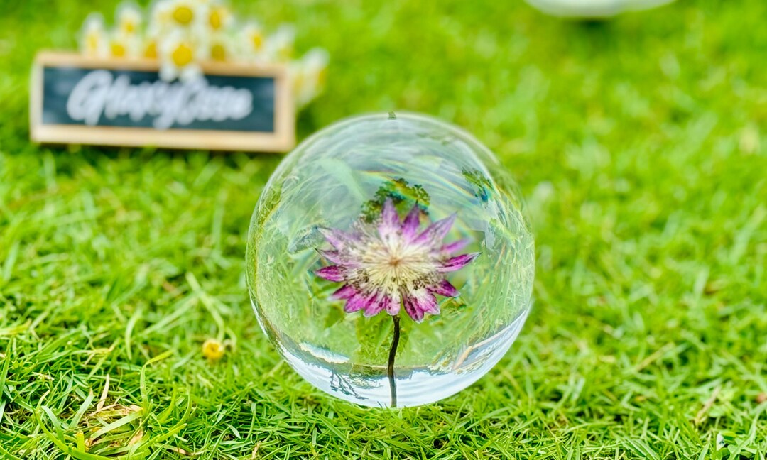 Astrantia Resin Paperweight,flowers Sphere,flowers Desk Home Office ...