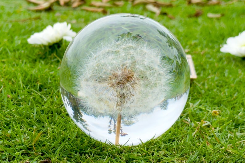 K9 Crystal Dandelion Paperweight, Dandelion Sphere, Dandelion Desk Home ...