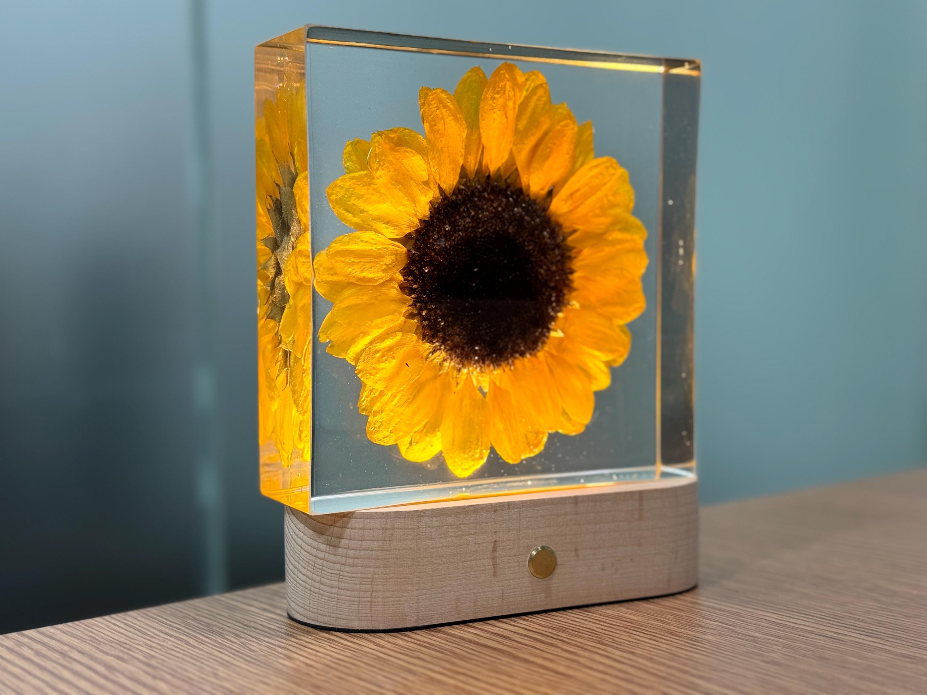 Real Sunflower Block, Resin Paperweight, Sunflower Night Light ...