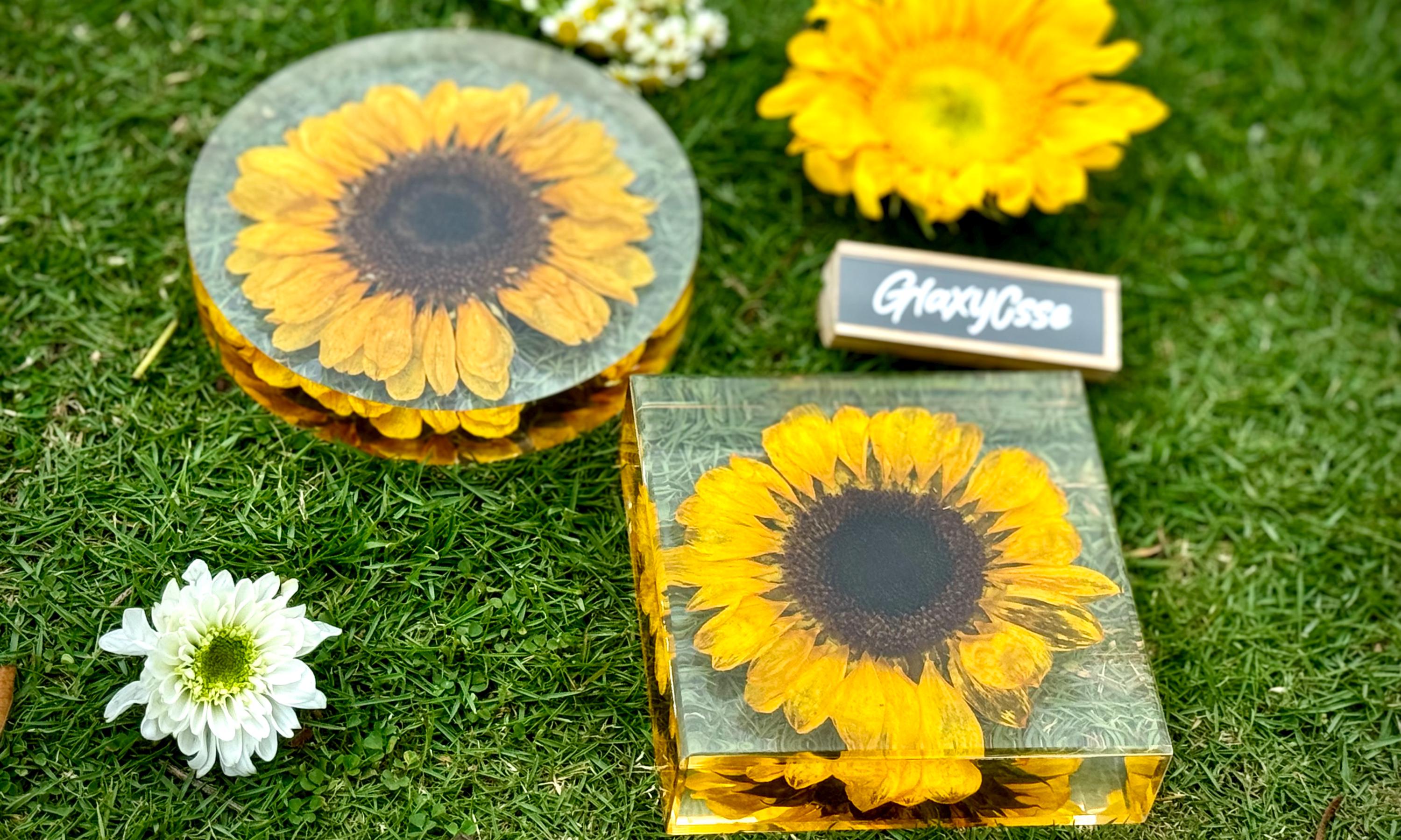 Real Sunflower Block, Resin Paperweight, Sunflower Night Light ...