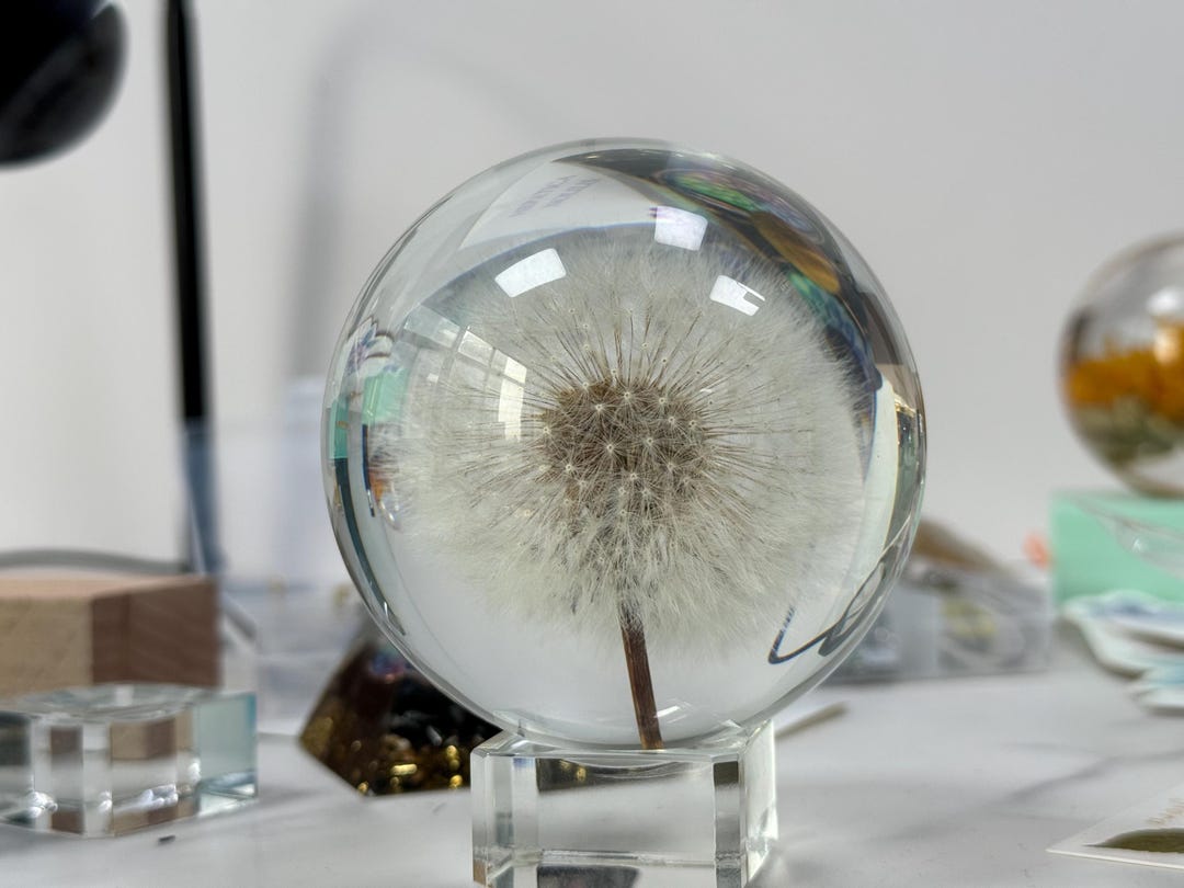Dandelion Resin Paperweight, Dandelion Sphere, Dandelion Desk Home ...