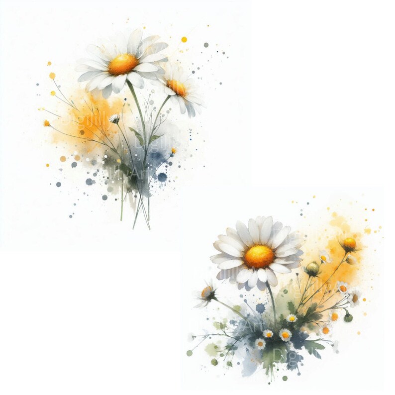 13 JPG Watercolor Daisy Flowers Clipart, Daisy Print, Digital Download ...
