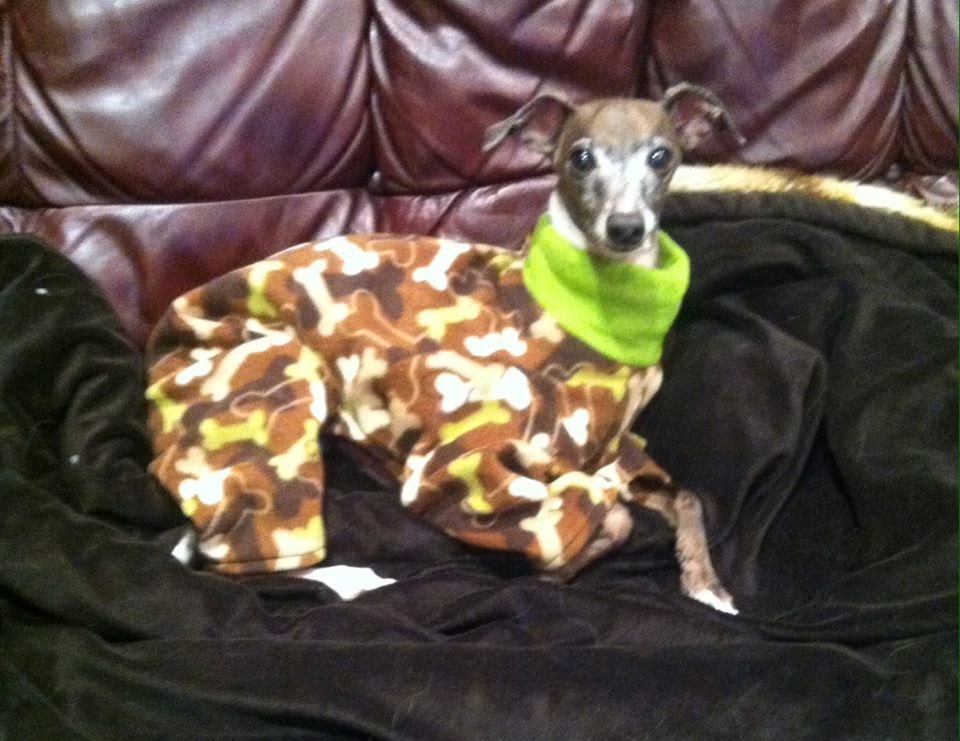 Dog Fleece Pajamas Pjs Jammies | Etsy