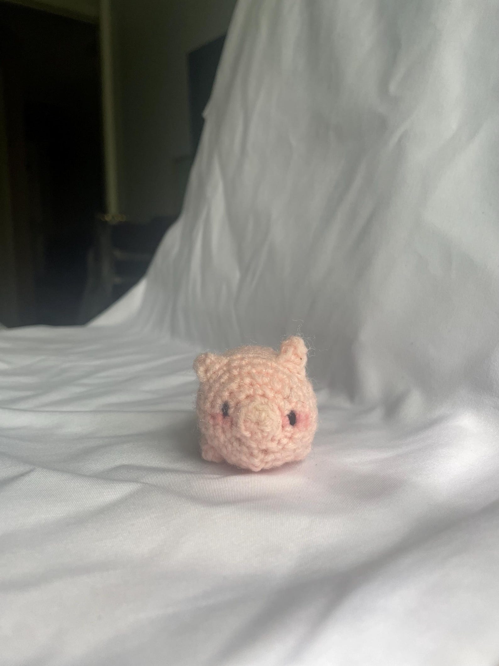 Cutie Mini Pig - Etsy