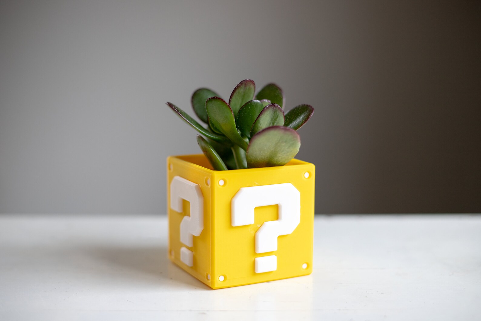 Premium Super Mario Question Mark Plant Pot for Home and Office Decor ...