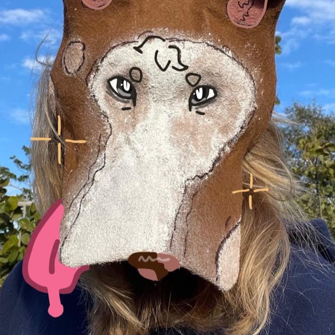 PRICE DROP Pit Bull Therian/furry Mask !!read Description!! - Etsy