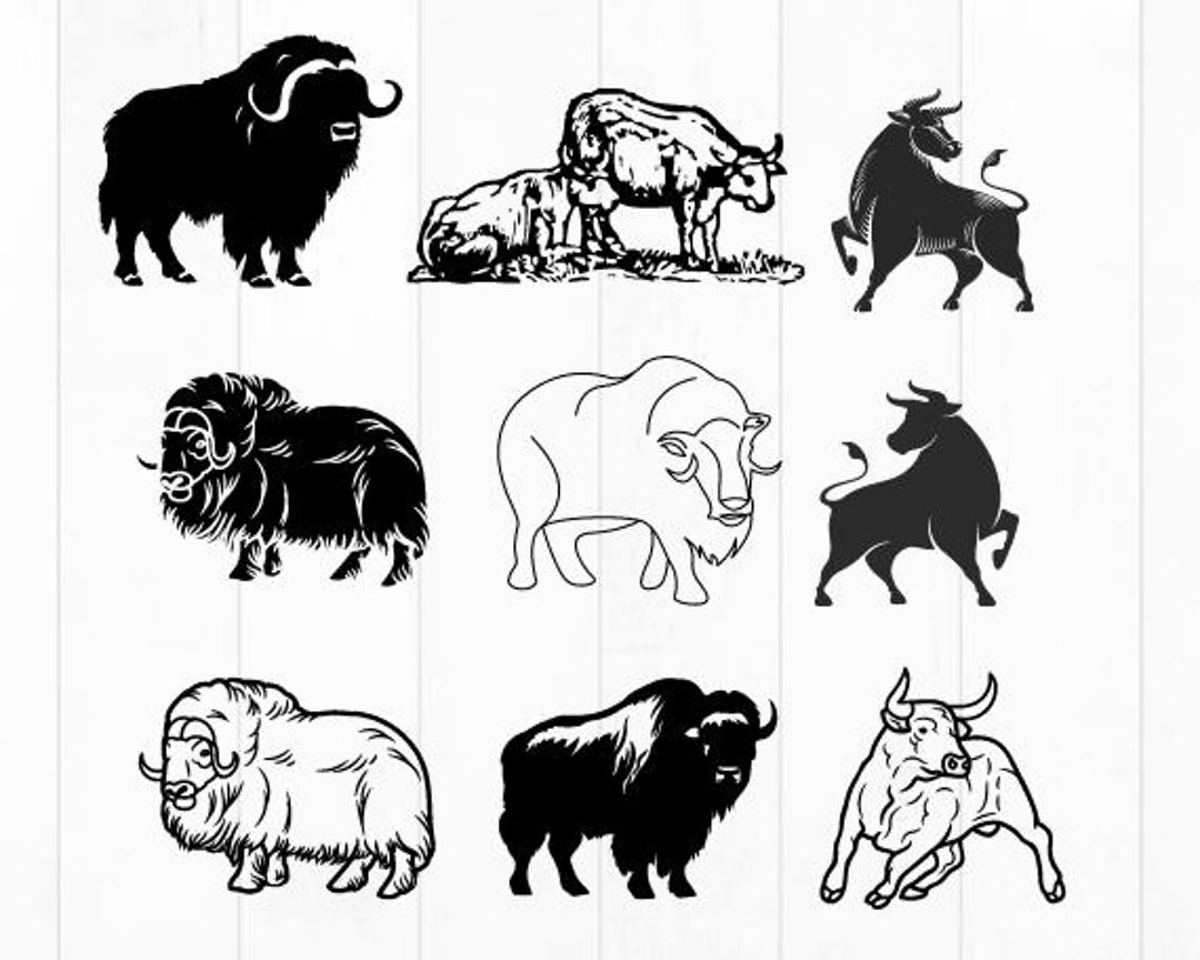 Musk Ox Svg Bundle, Musk Ox Svg, Musk Ox Clipart, Musk Ox Head Svg, Cow ...