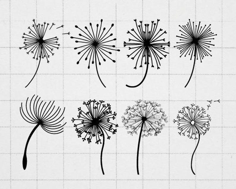 Dandelion Svg Bundle, Dandelion Svg, Cut Files for Cricut, Silhouette ...