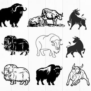 Musk Ox Svg Bundle, Musk Ox Svg, Musk Ox Clipart, Musk Ox Head Svg, Cow ...