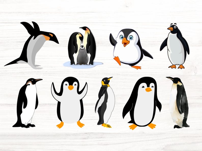 Penguin SVG Bundle , Penguin PNG Bundle ,penguin Clipart , Penguin SVG ...