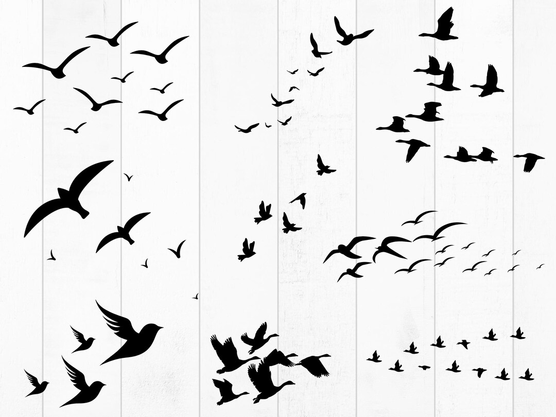 Flock of Birds Svg Bundle, Flock of Birds Clipart, Flock of Birds Cut ...