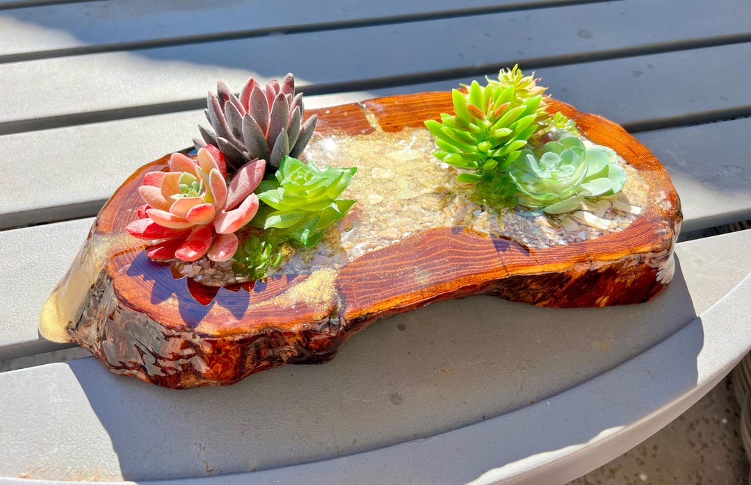 Handmade Succulent Epoxy Resin Centerpiece – Unique Botanical Home ...
