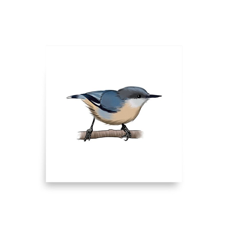 Pygmy Nuthatch Art Print | Bird Decor | Nuthatch Illustration | Digital ...