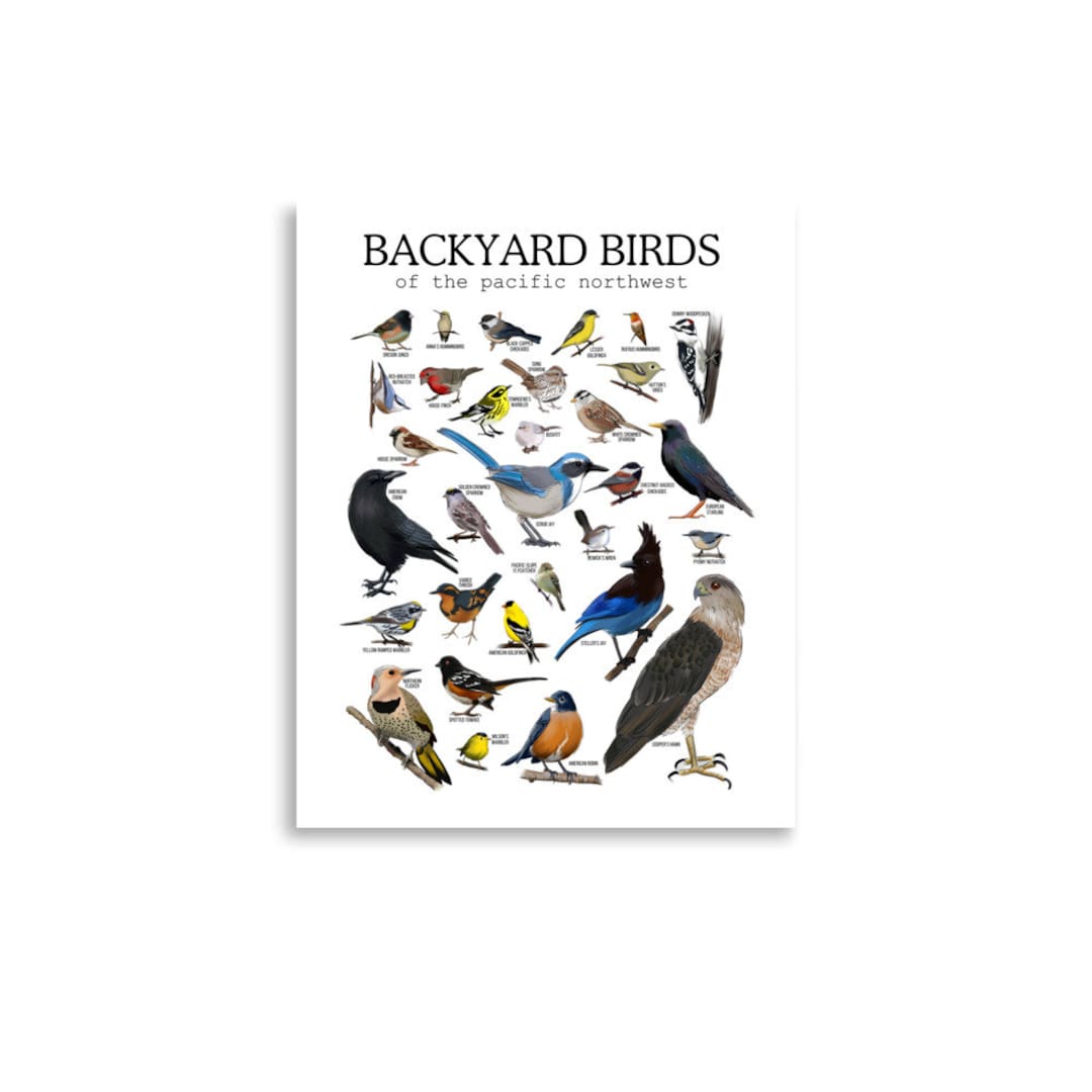 Backyard Birds of the Pacific Northwest Art Print | Bird Chart | PNW ...