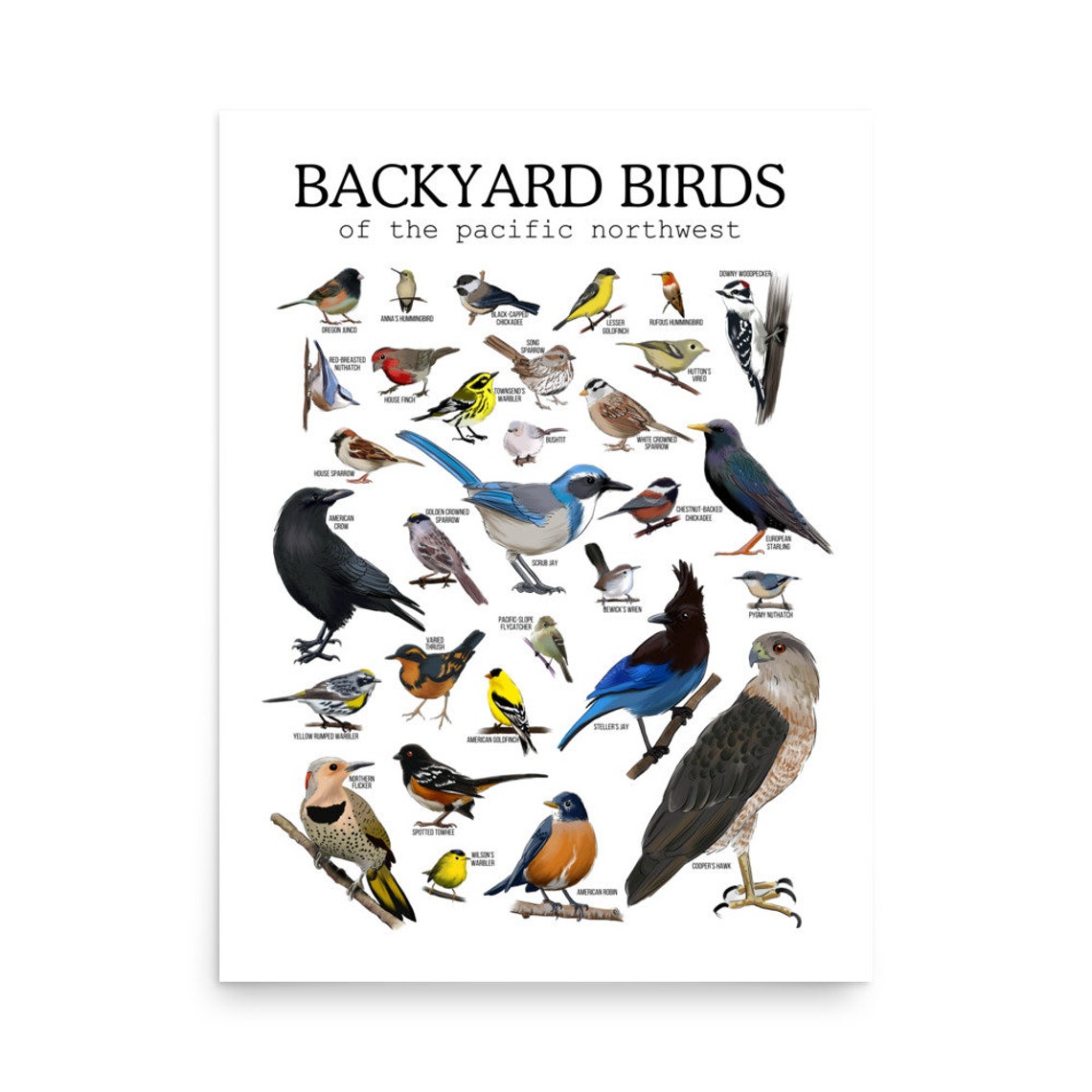 Backyard Birds of the Pacific Northwest Art Print | Bird Chart | PNW ...