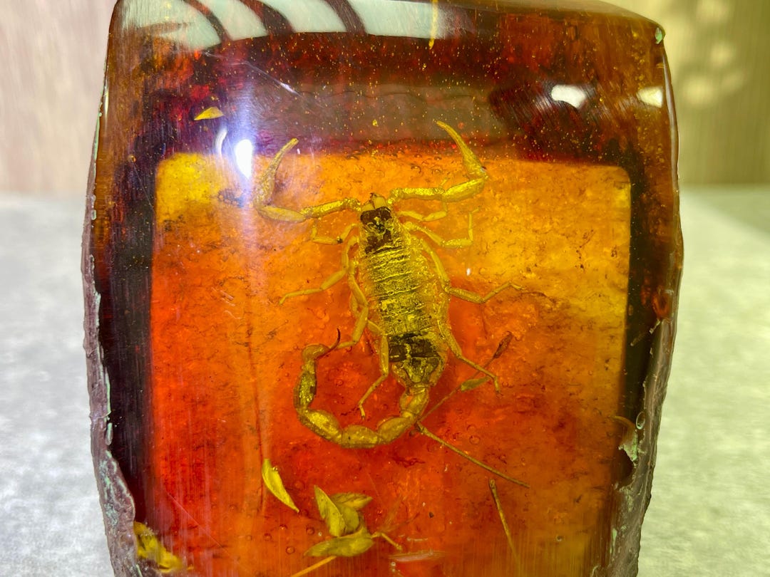 Rare!!! Resin Anber Handicraft Scorpions, Crystal Scorpion, Crystal ...