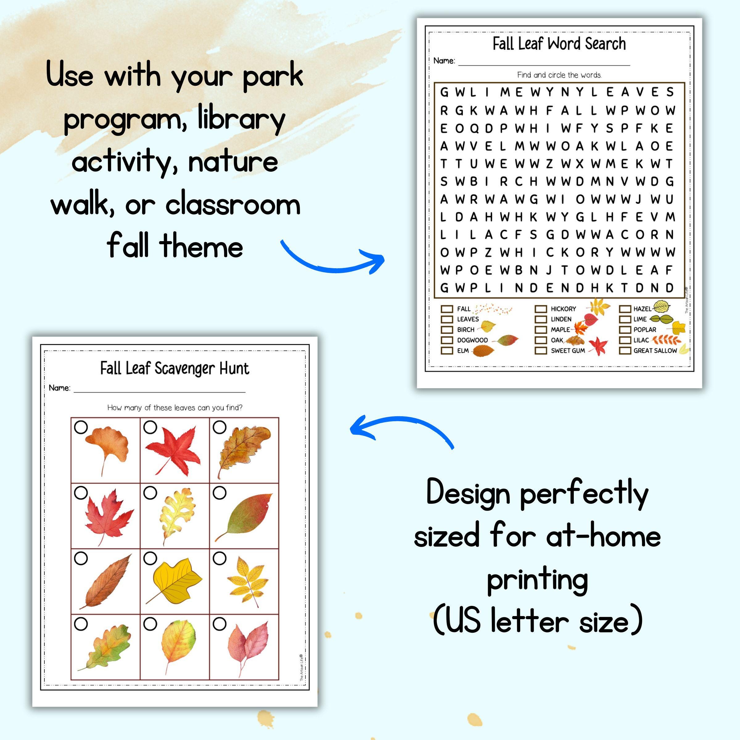 Fall Leaf Activities - Fall Word Search - Fall Leaf Scavenger Hunt ...