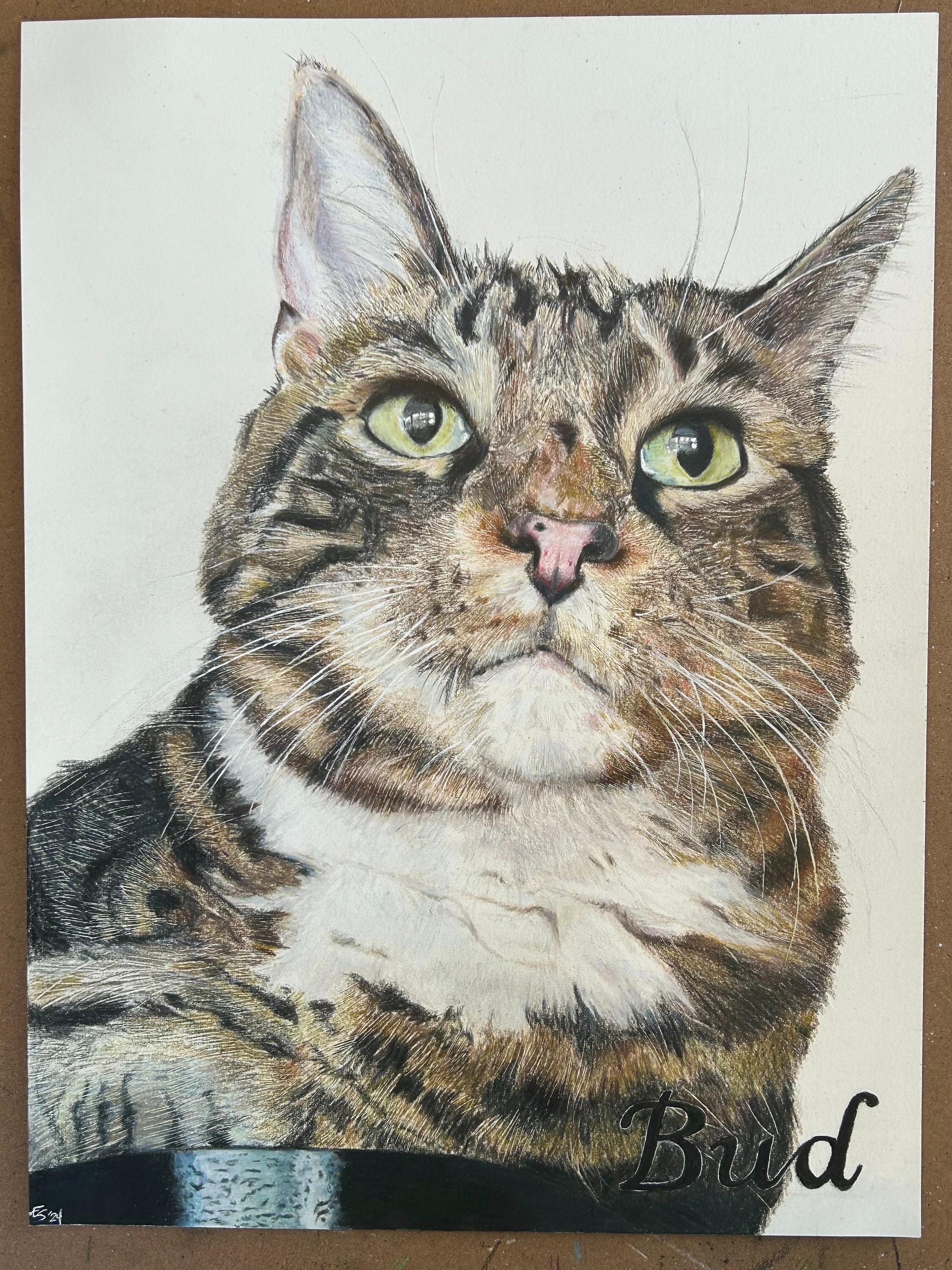 Custom Colored Pencil Portrait -pets, Loved Ones, Realistic Depictions ...