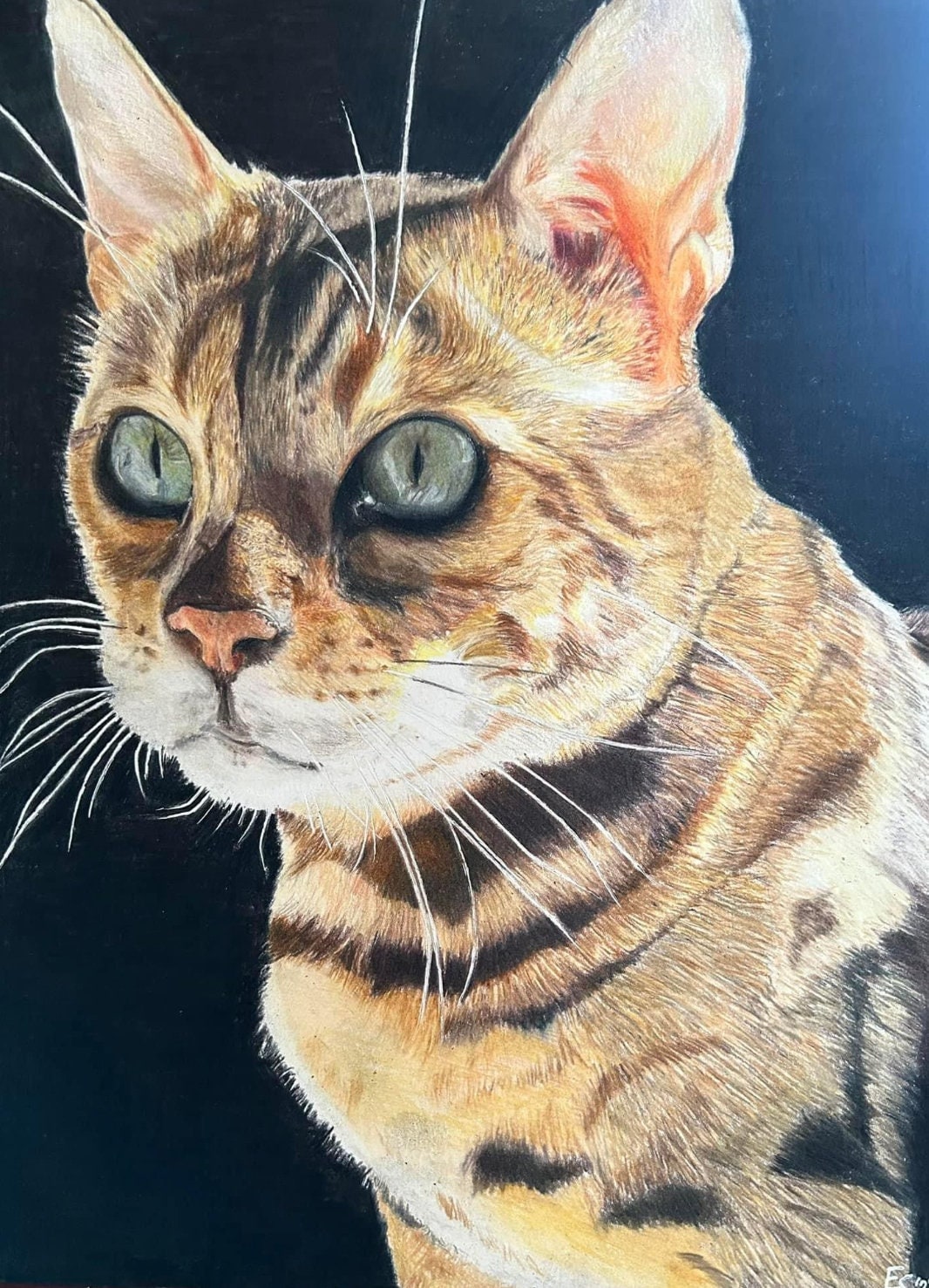 Custom Colored Pencil Portrait -pets, Loved Ones, Realistic Depictions ...