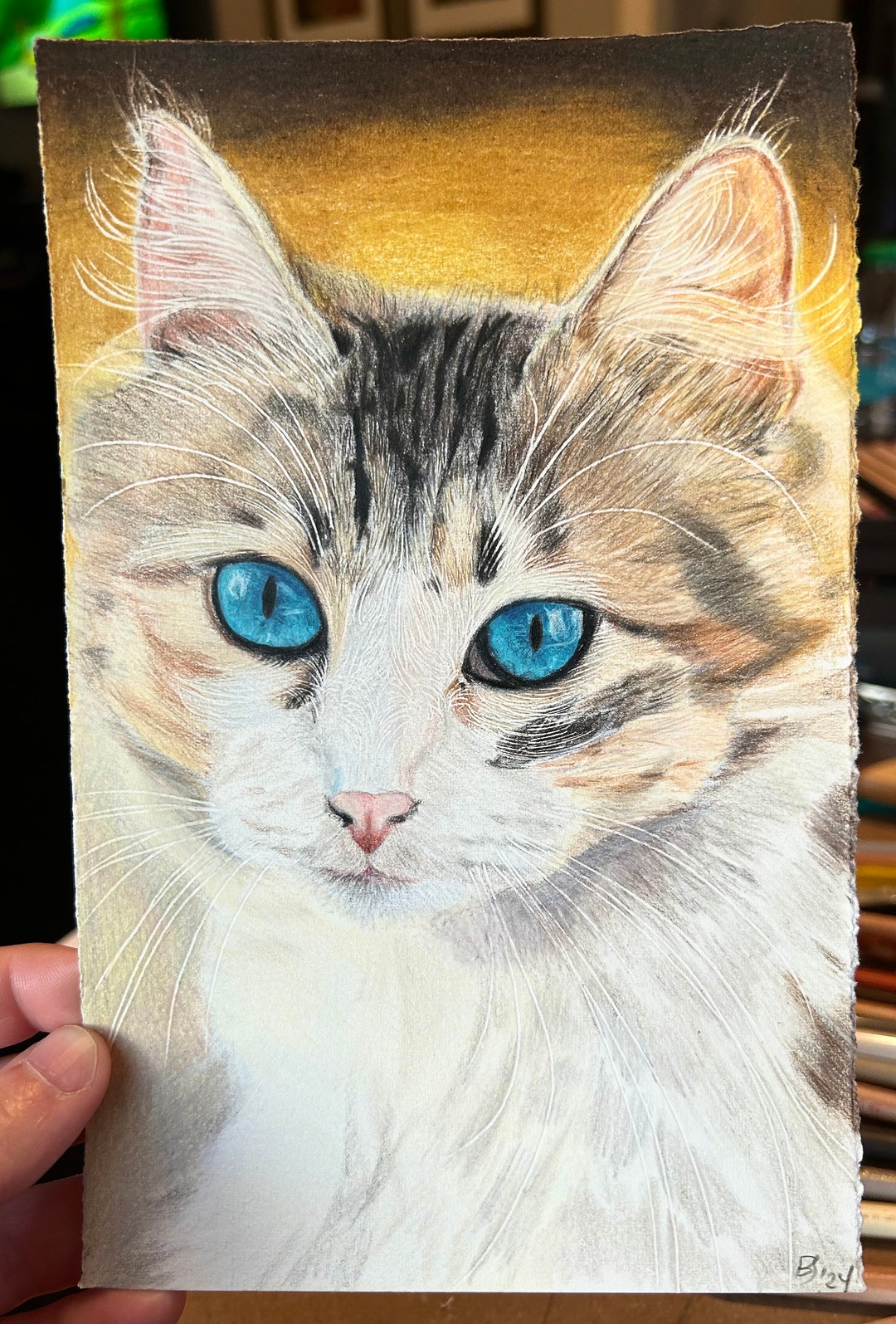 Little Kitten - Original Drawing - Etsy