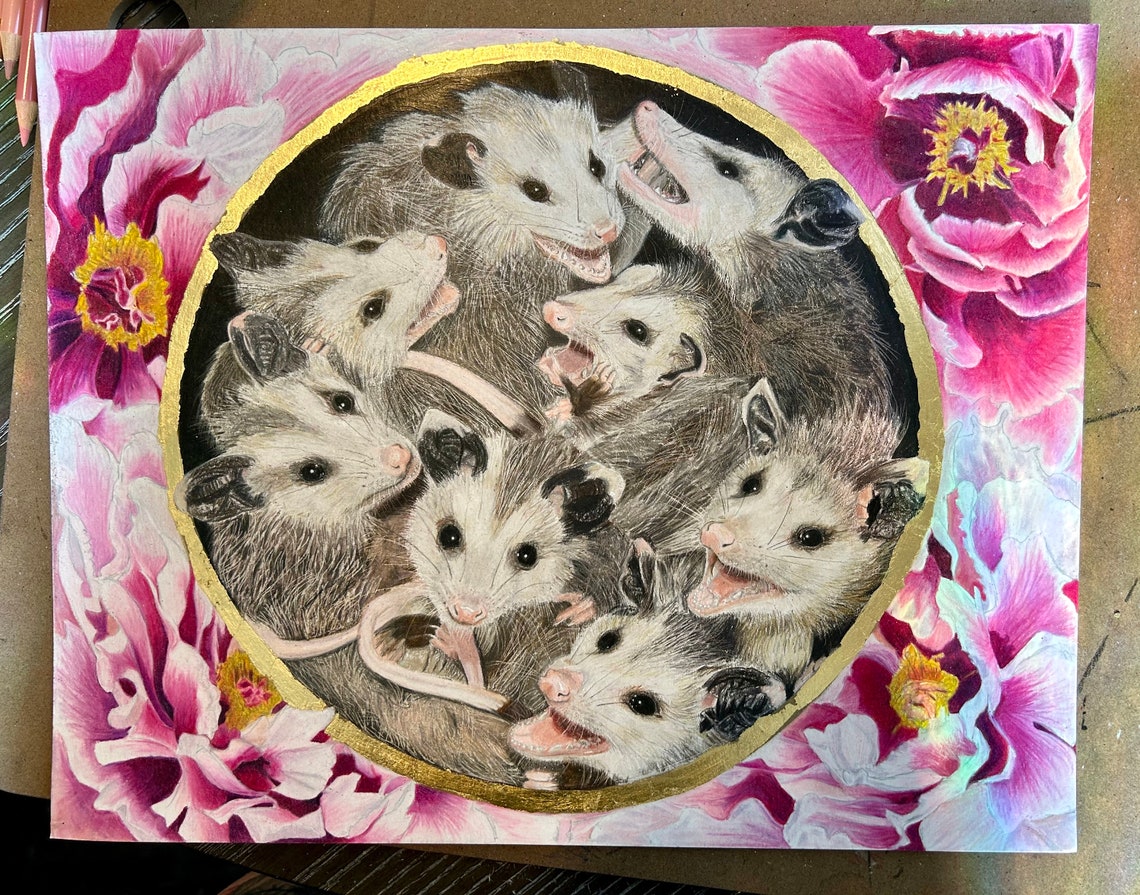 Possums and Peonies - Original Drawing - Etsy