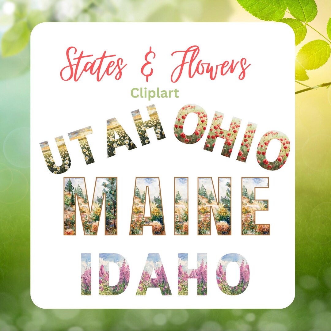 State Flower Clipart, Florida Orange Blossom Watercolor, Hawaii ...