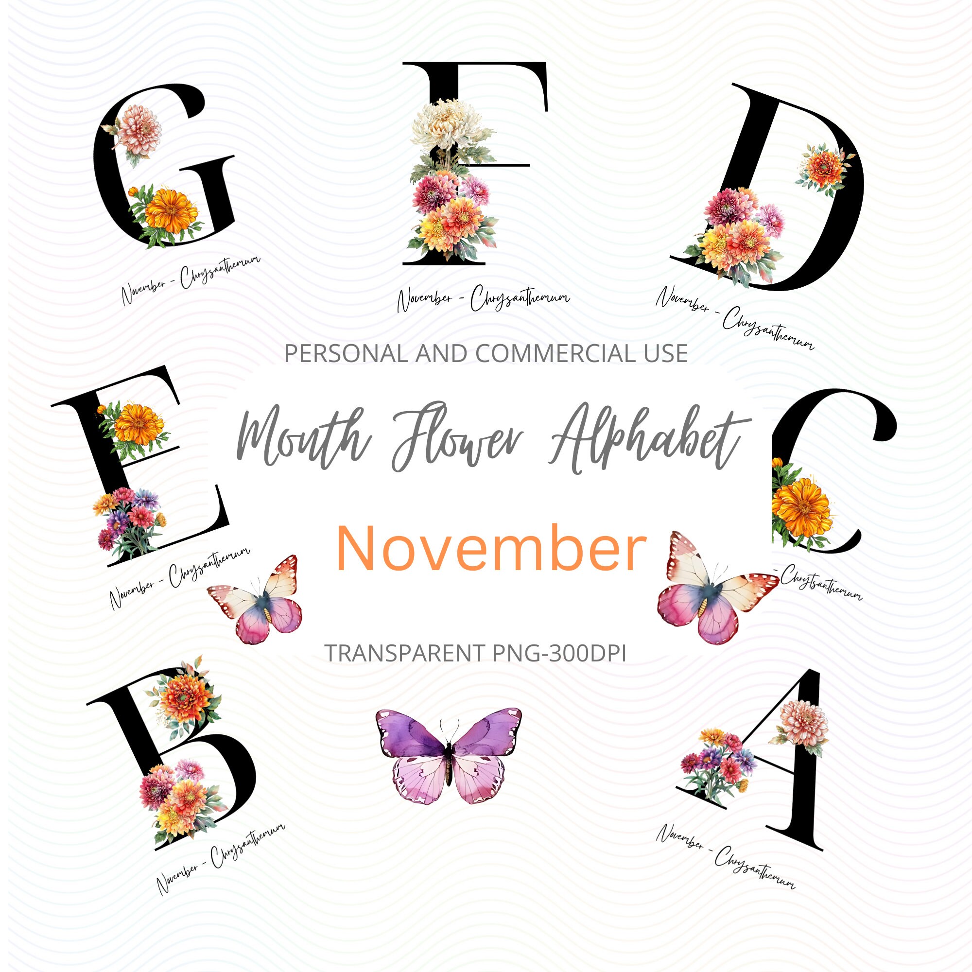 November Birth Flowers Alphabet Clip Art, Commercial Use Floral Letters ...